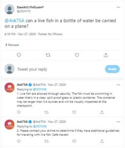 Can You Bring Fish on A Plane in 2025? TSA Fish Rules