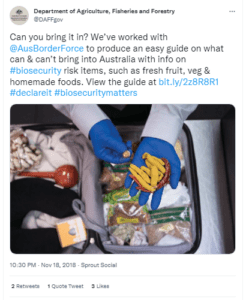 Can You Bring Food Through Airport Security In 2022?