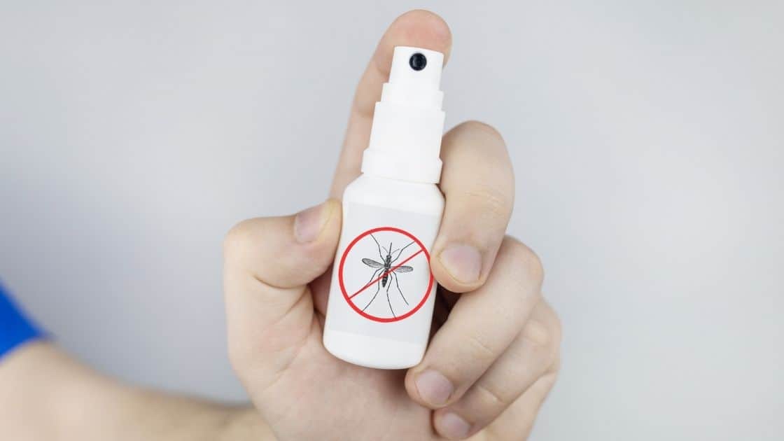 Can You Bring Bug Spray on a Plane? TSA Rules Explained