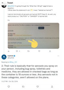Can You Bring Bug Spray on a Plane? TSA Rules Explained
