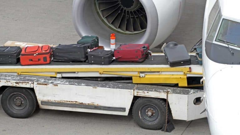 How Cold Does It Get in a Plane Cargo Hold? - Travel Easier